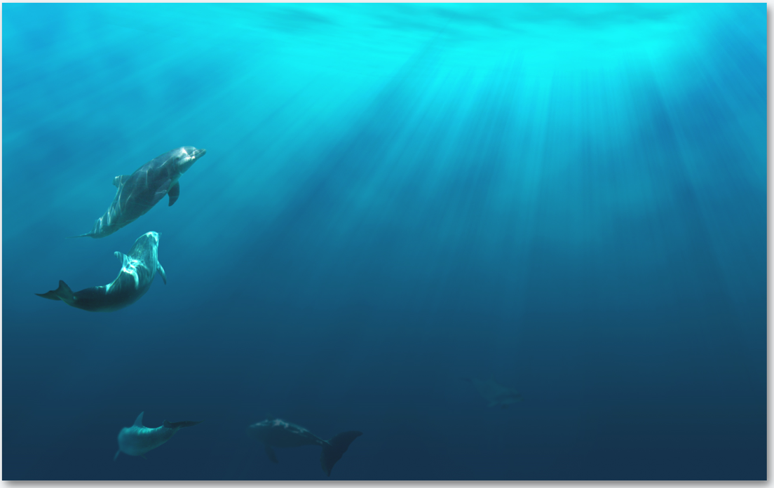 BlueOcean