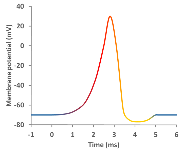 NeuronFunction